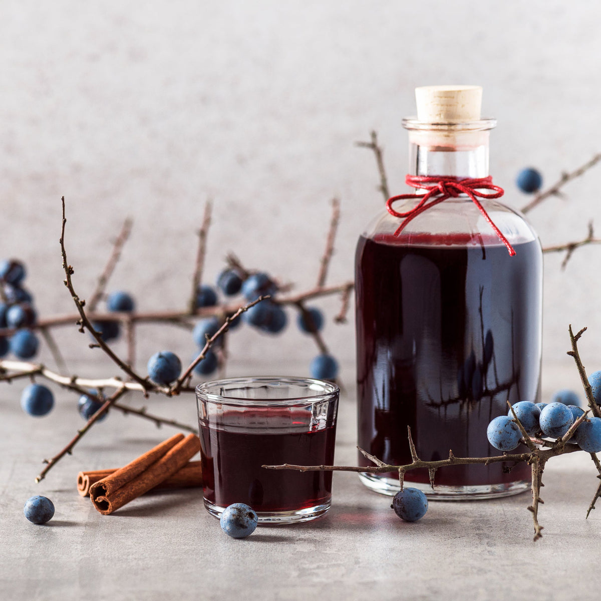 What is Sloe Gin? – Liquor Loot
